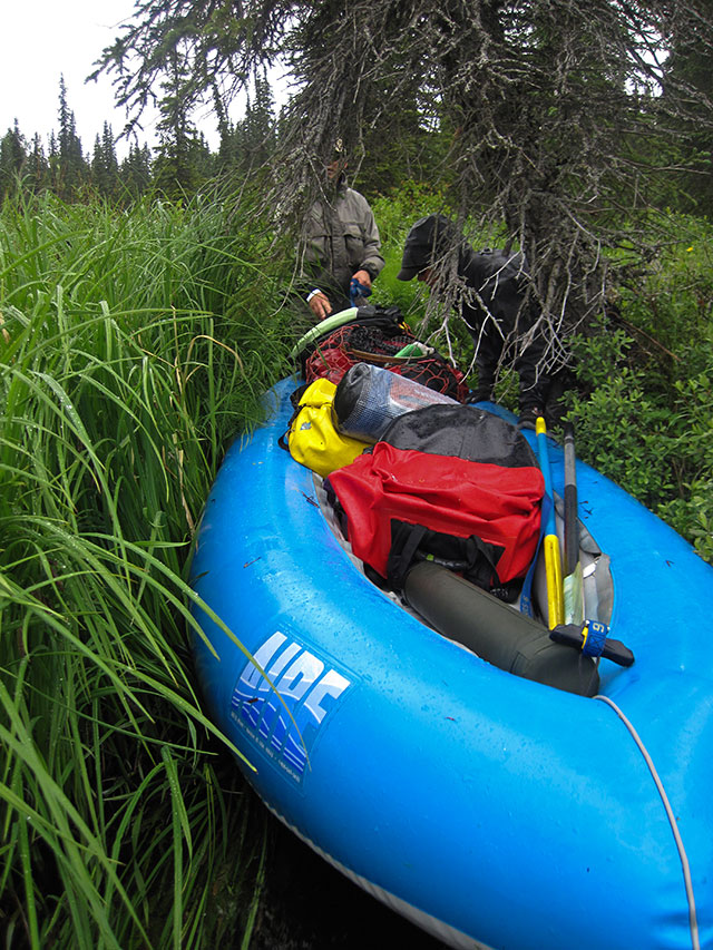 shove-copy - Wild River Fish