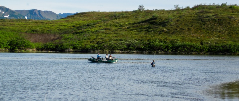 Togiak River - Wild River Fish