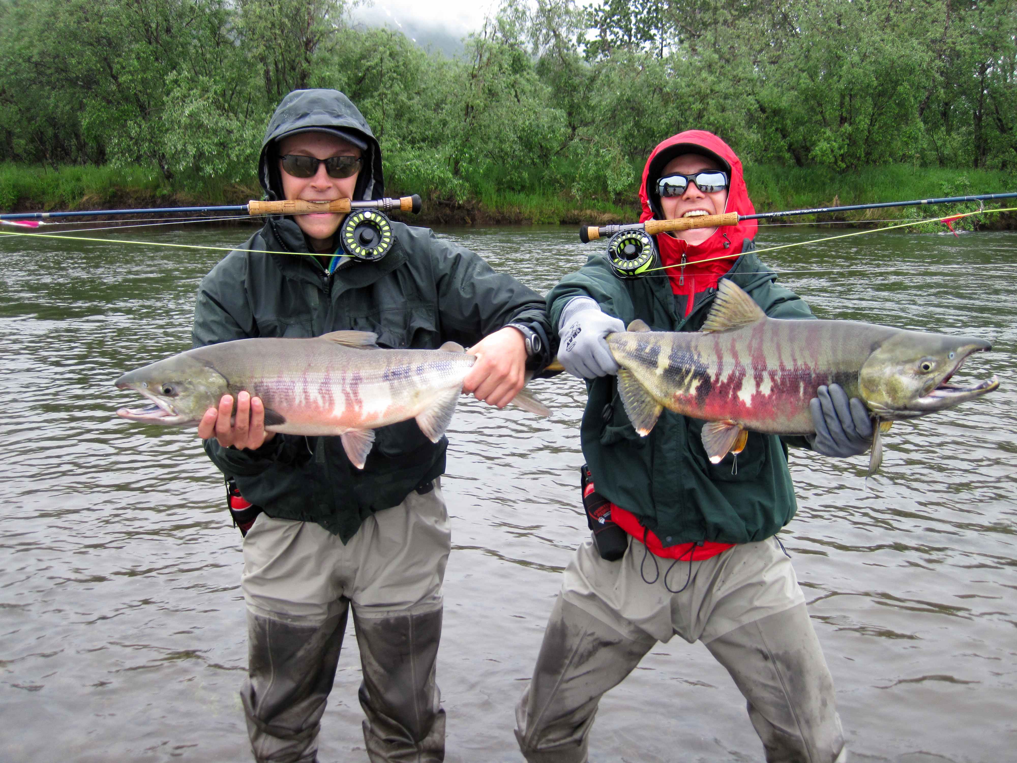 July 1-7, 2013. Togiak River - Wild River Fish