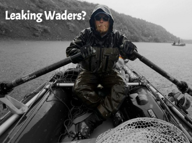 Blog - Wild River Fish